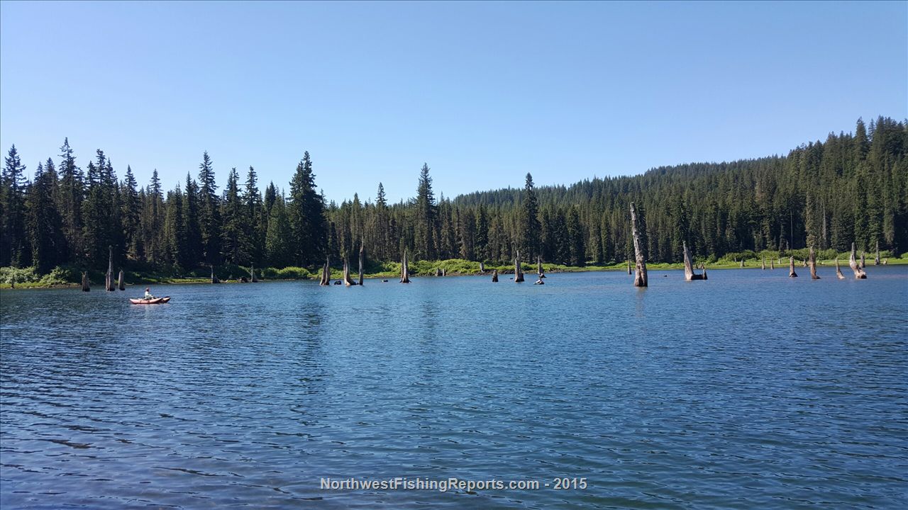 Goose Lake Report, Skamania County, WA - NWFR