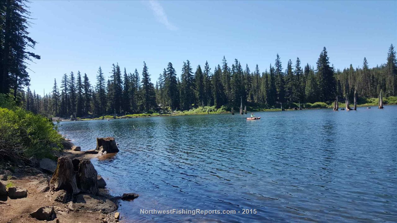 Goose Lake Report, Skamania County, WA - NWFR