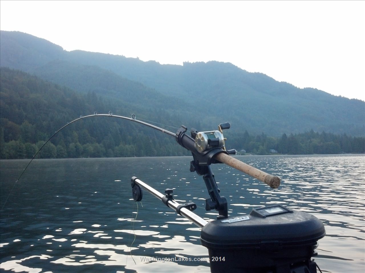 Samish Lake Report, Whatcom County, WA - NWFR