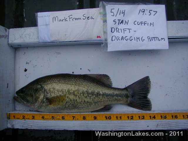 Stan Coffin Lake Photo Gallery - NWFR