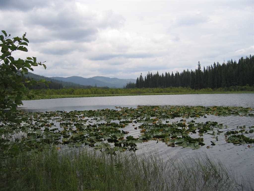 Coffin Lake Report, Stevens County, WA - NWFR