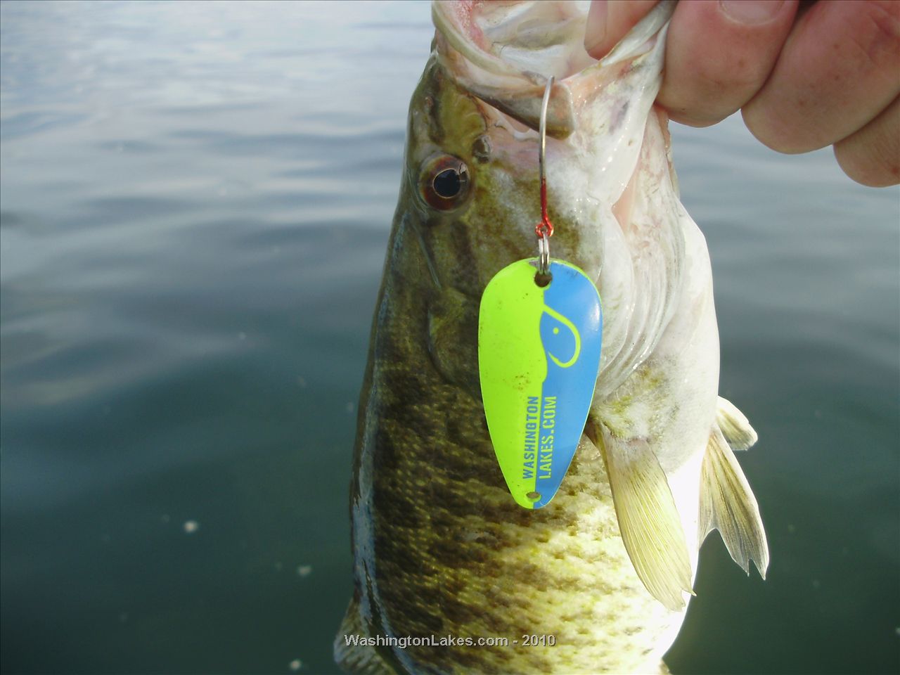 Tapps Lake Photo Gallery - NWFR