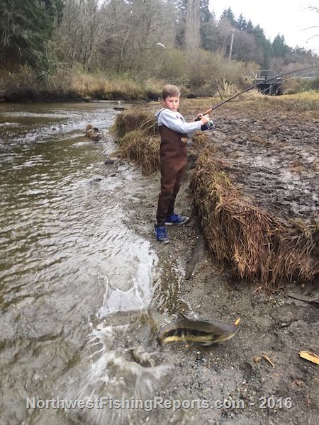 Minter Creek Report, Pierce County, WA - NWFR