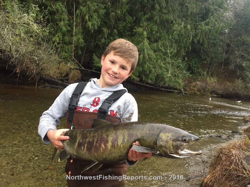 Minter Creek Report, Pierce County, WA - NWFR