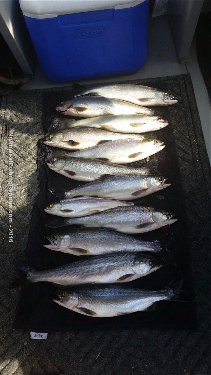 Conconully Lake Lake Report, Okanogan County, WA - NWFR