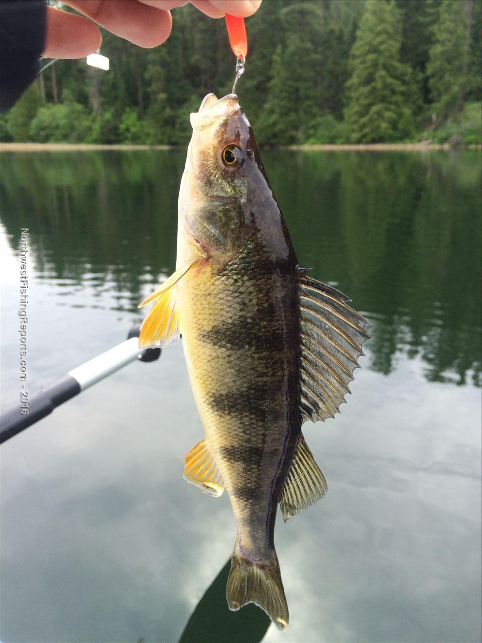 Fish Lake Report, Chelan County, WA - NWFR
