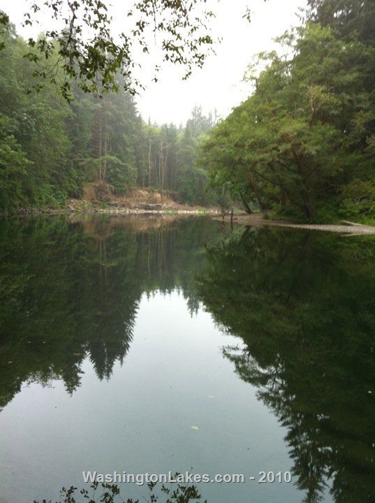 Calawah River Report, Clallam County, WA - NWFR