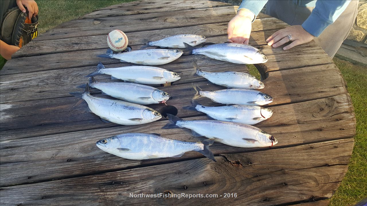 Conconully Reservoir Lake Report, Okanogan County, WA - NWFR