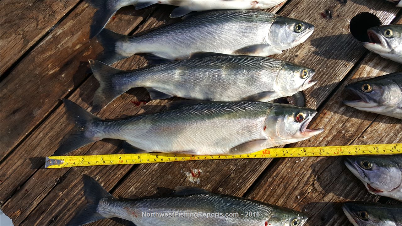 Conconully Lake Lake Report, Okanogan County, WA - NWFR