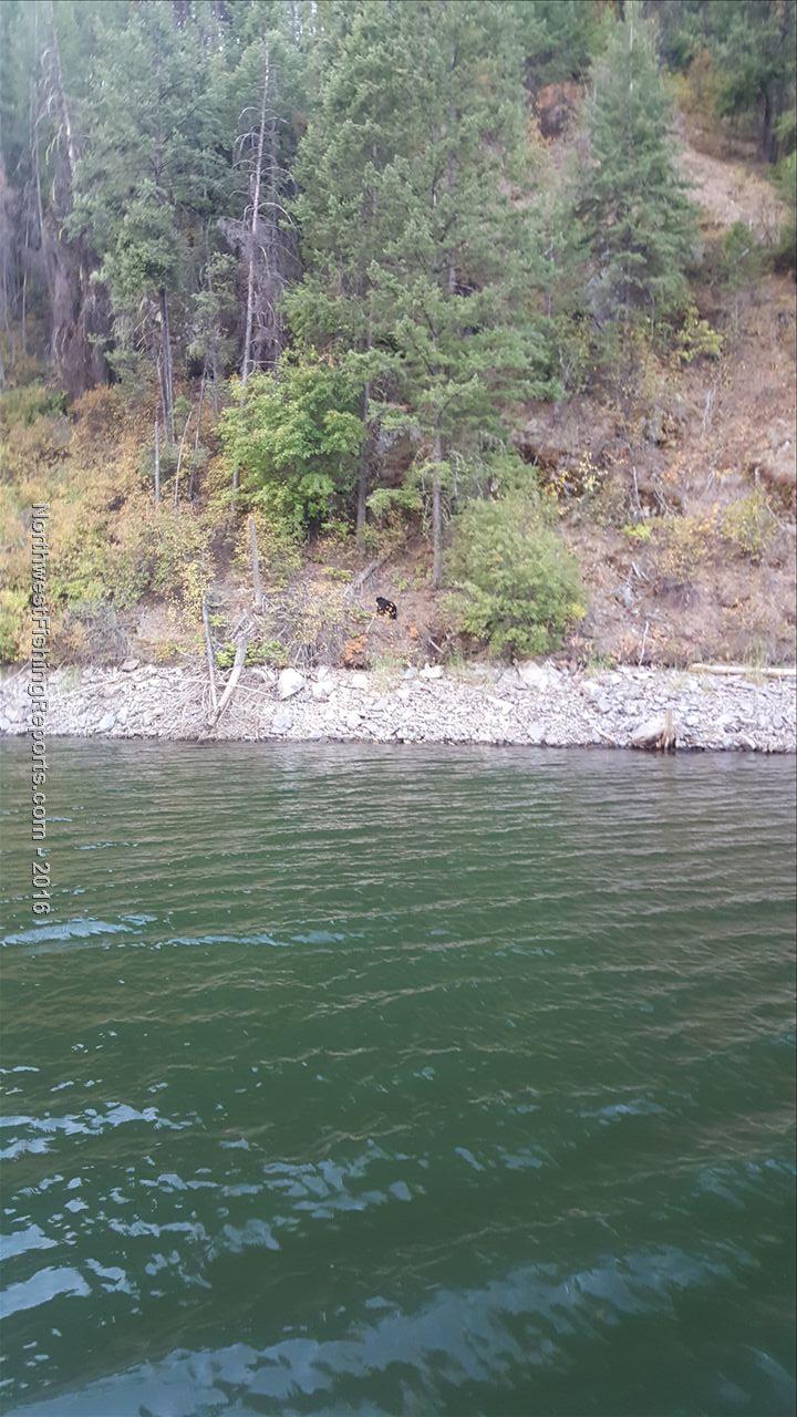 Conconully Lake Lake Report, Okanogan County, WA - NWFR