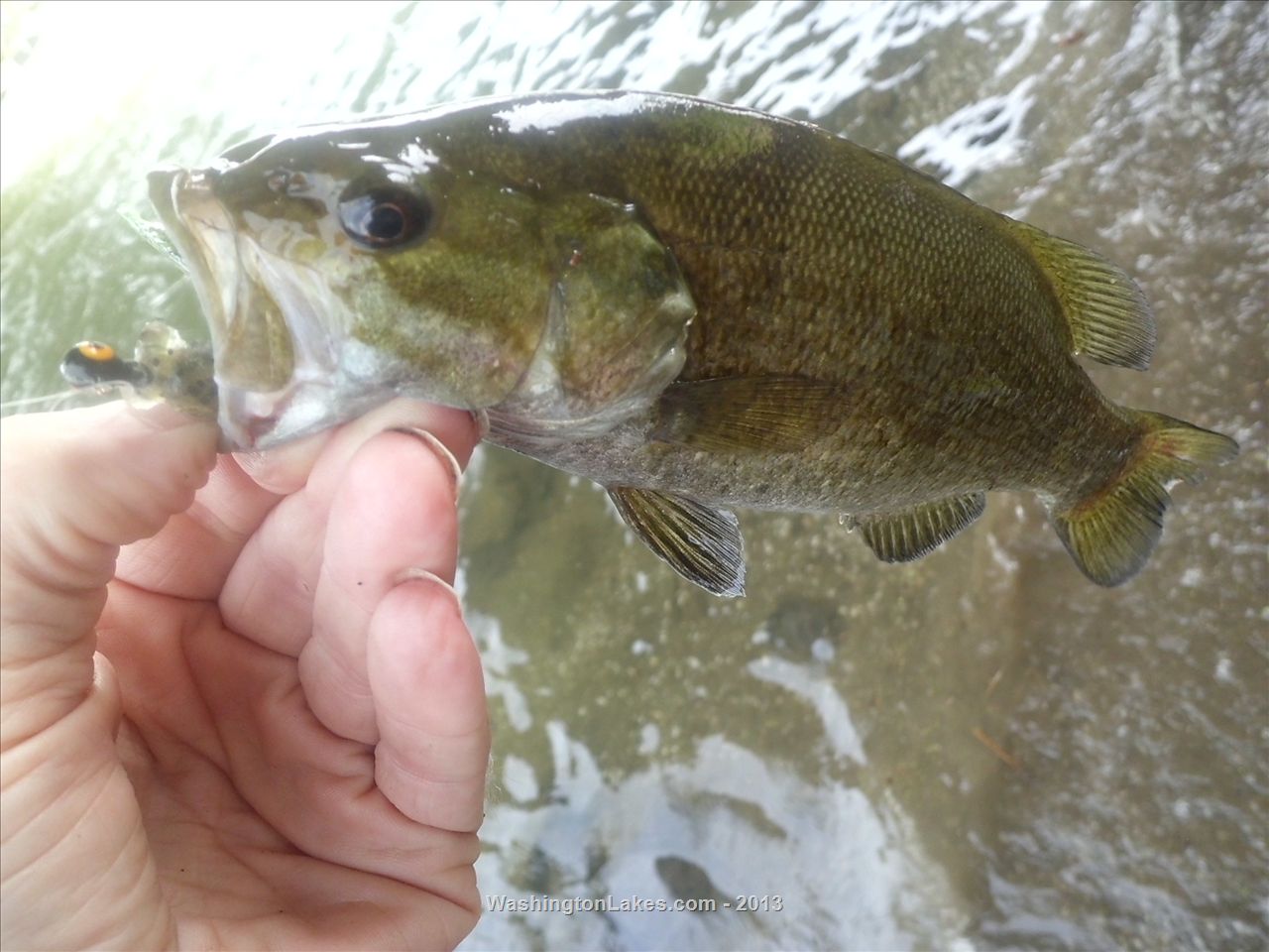 Billy Clapp Lake Report, Grant County, WA - NWFR