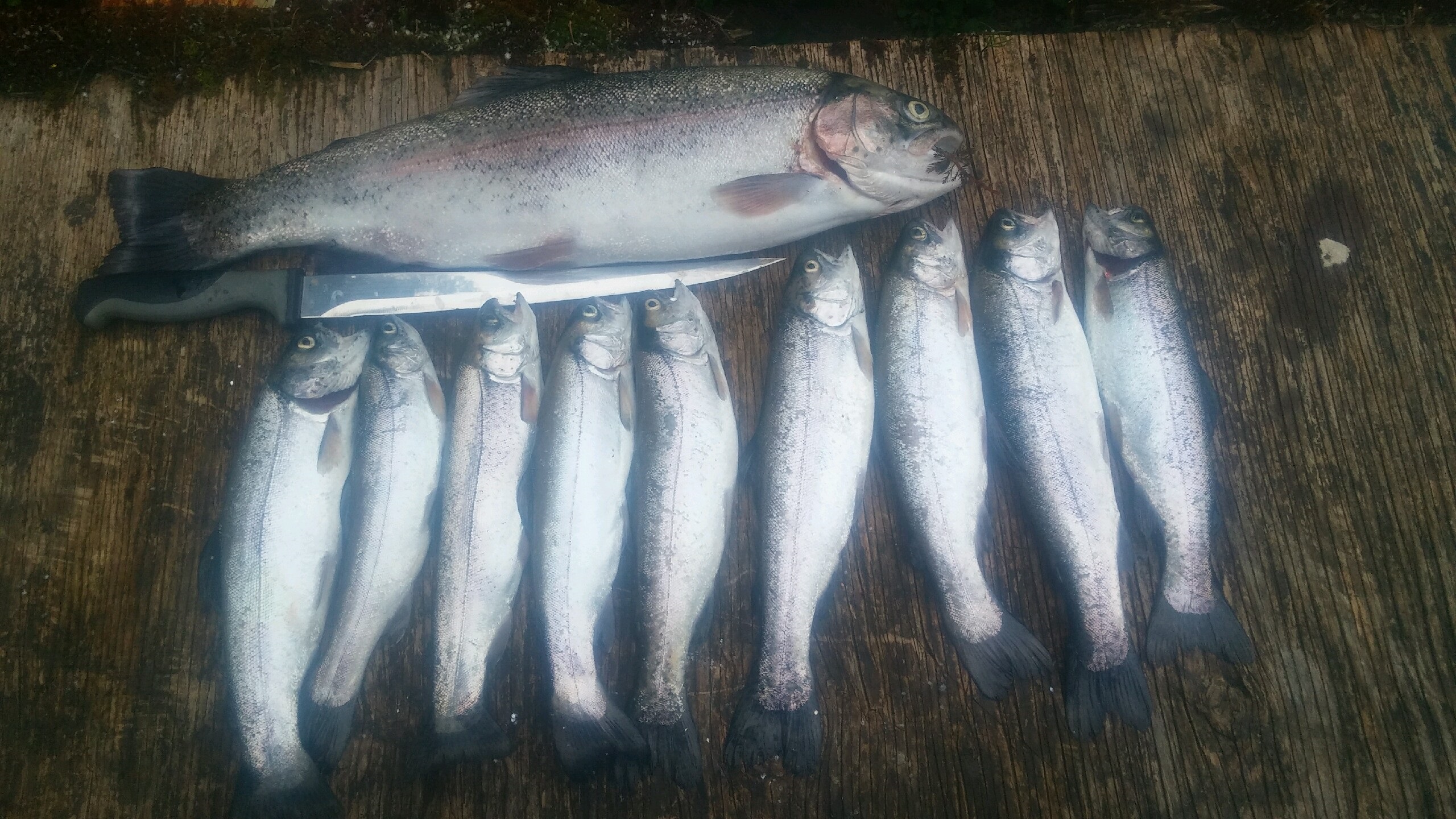 Mattoon Lake Report, Kittitas County, WA - NWFR
