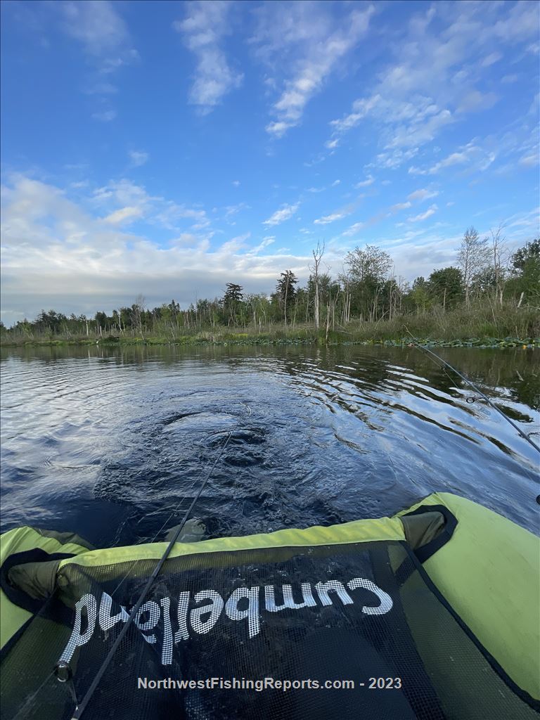 Fazon Lake Report, Whatcom County, WA - NWFR
