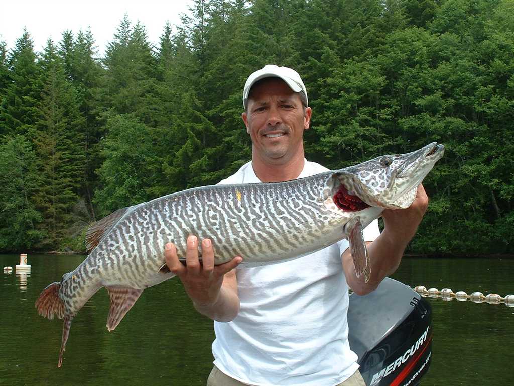 Mayfield Lake Report, Lewis County, WA - NWFR