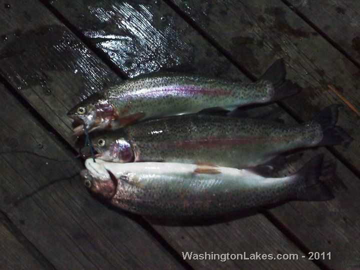 Curlew Lake Report, Ferry County, WA - NWFR