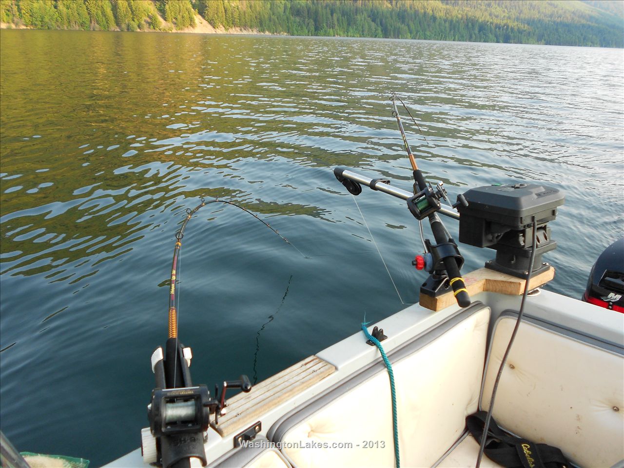 Cle Elum Lake Report, Kittitas County, WA - NWFR
