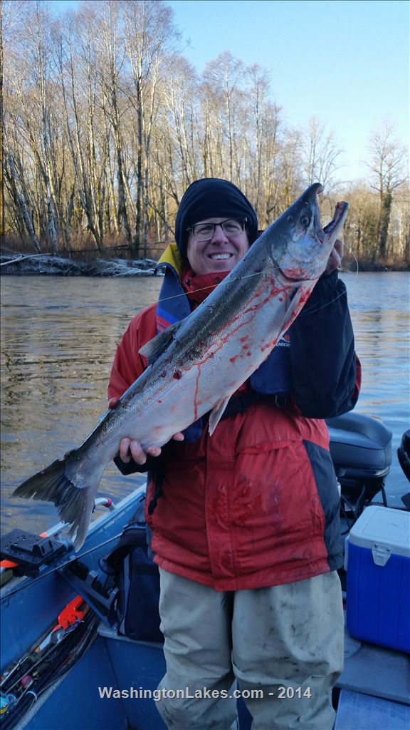 Satsop River Report, Grays Harbor County, WA - NWFR