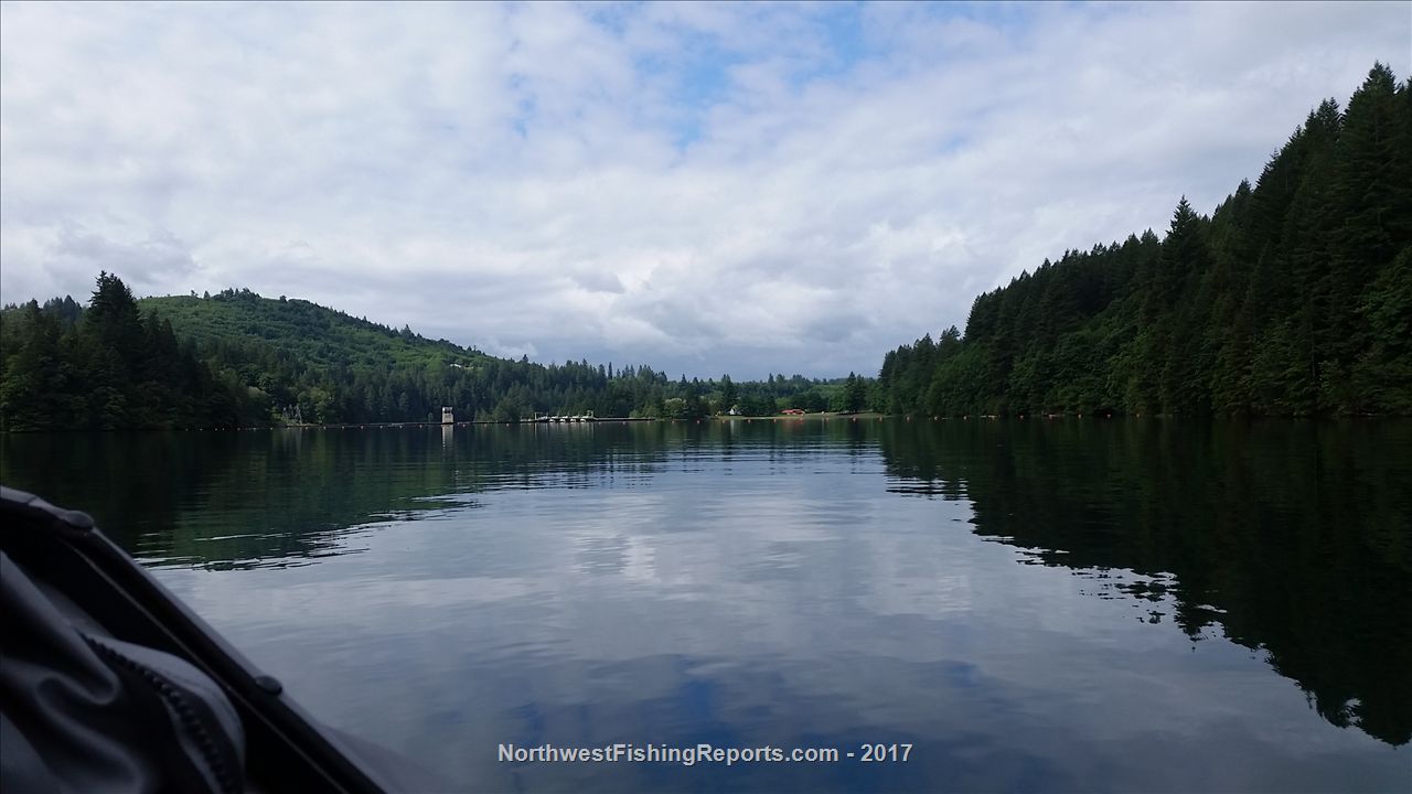 Merwin Lake Report, Cowlitz County, WA - NWFR