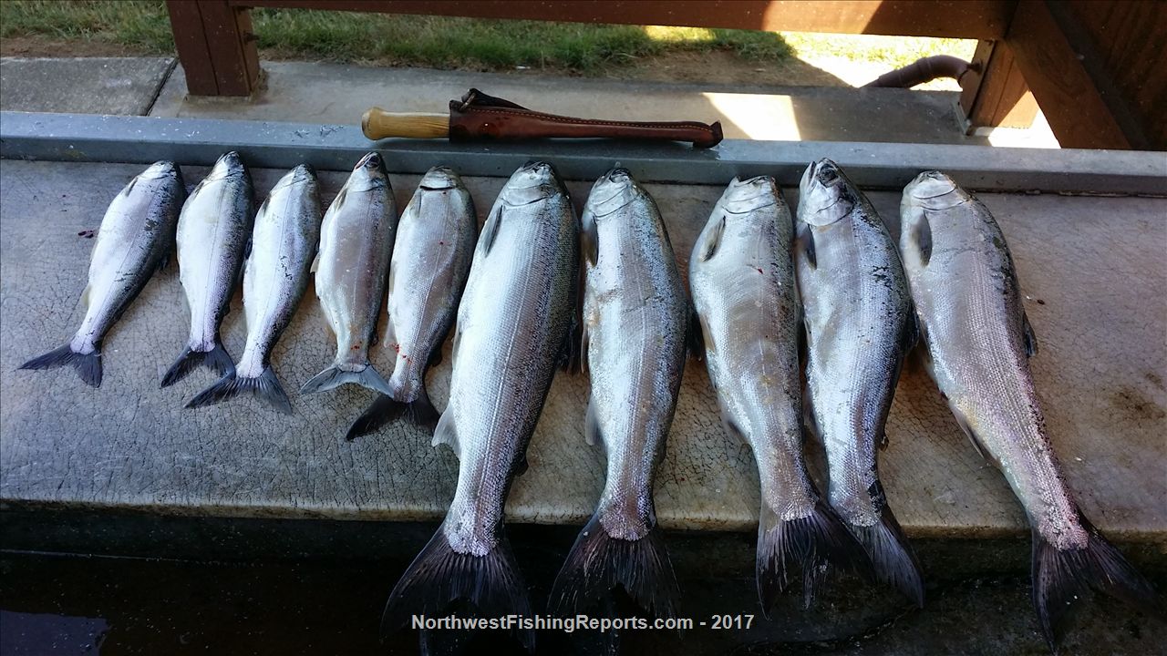 Riffe Lake Report, Lewis County, WA - NWFR