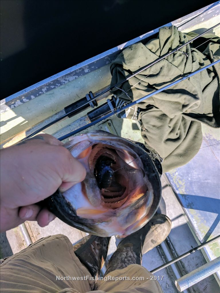 Fazon Lake Report, Whatcom County, WA - NWFR