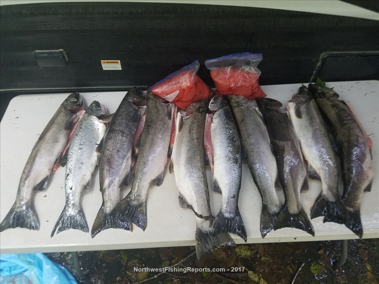 Humptulips River Report, Grays Harbor County, WA - NWFR