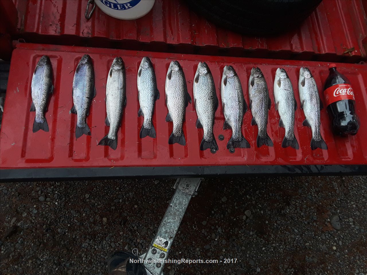 Offut Lake Report, Thurston County, WA - NWFR
