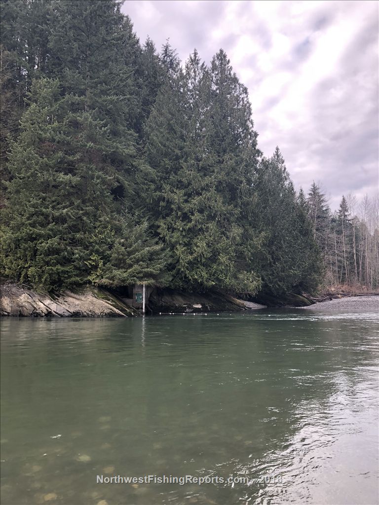 Nooksack River Report, Whatcom County, WA - NWFR