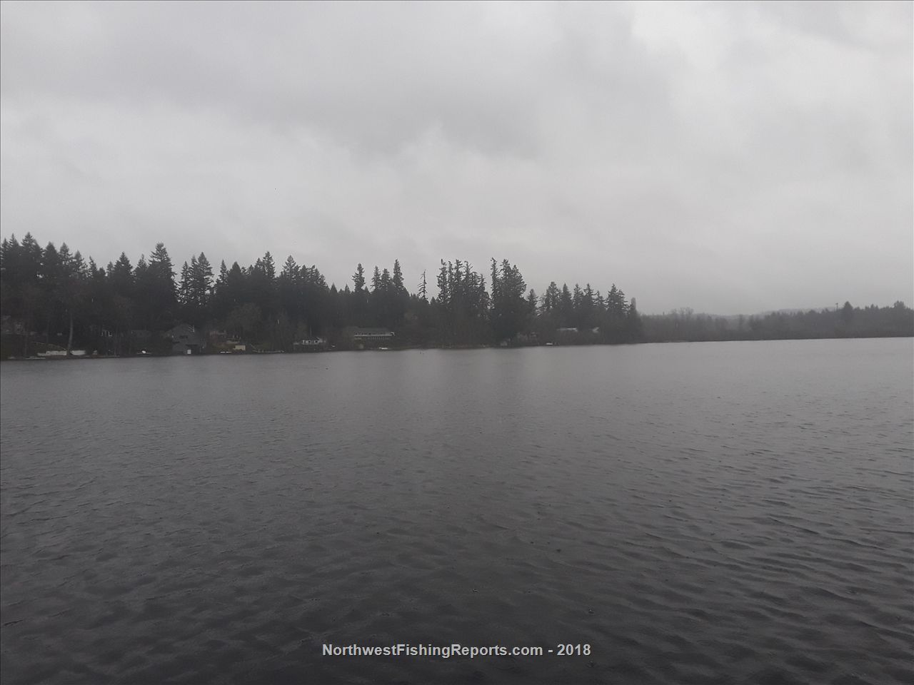 Offut Lake Report, Thurston County, WA - NWFR