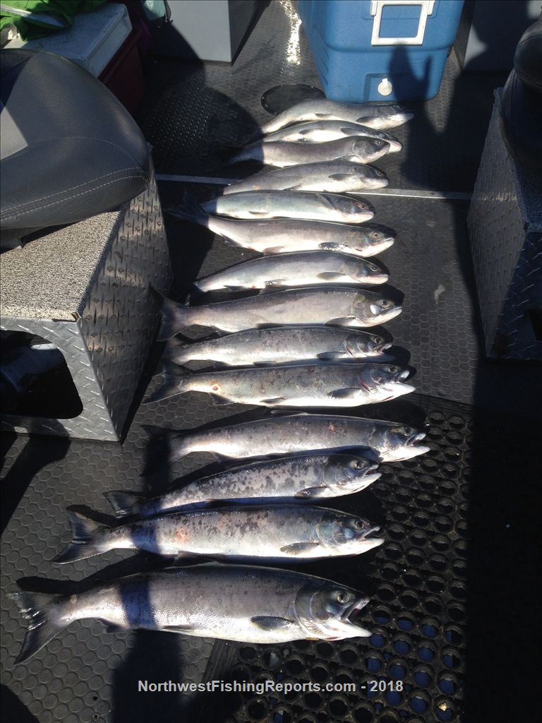 16 - Lake Pateros Report, Washington - NWFR