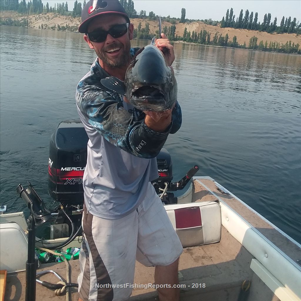 16 - Lake Pateros Report, Washington - NWFR