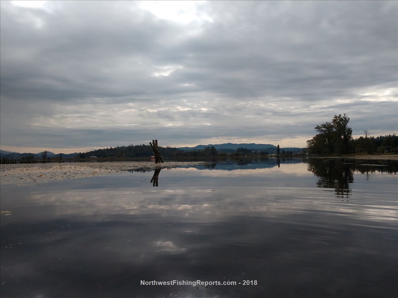 Clear Lake Report, Skagit County, WA - NWFR