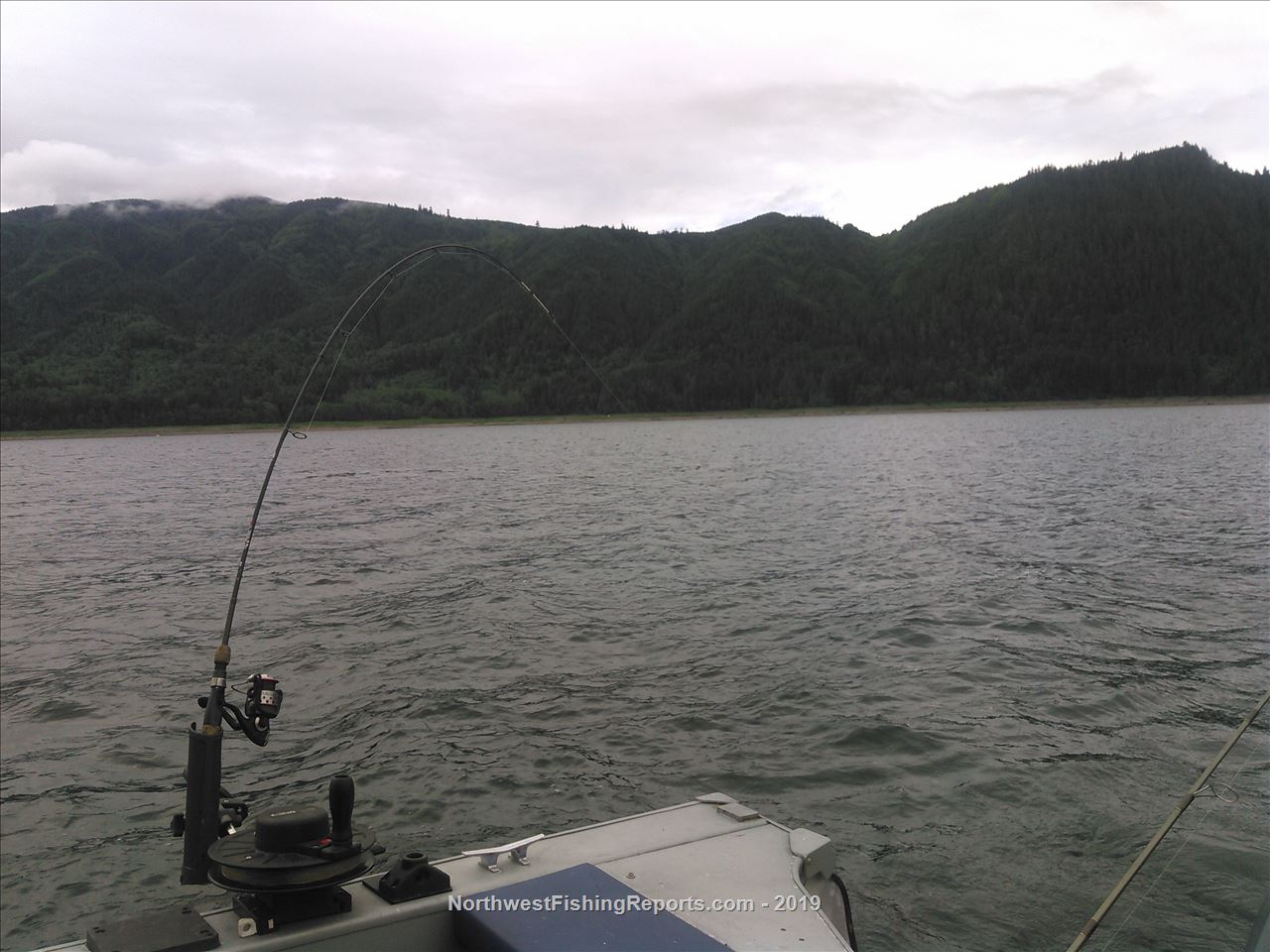 Riffe Lake Report, Lewis County, WA - NWFR