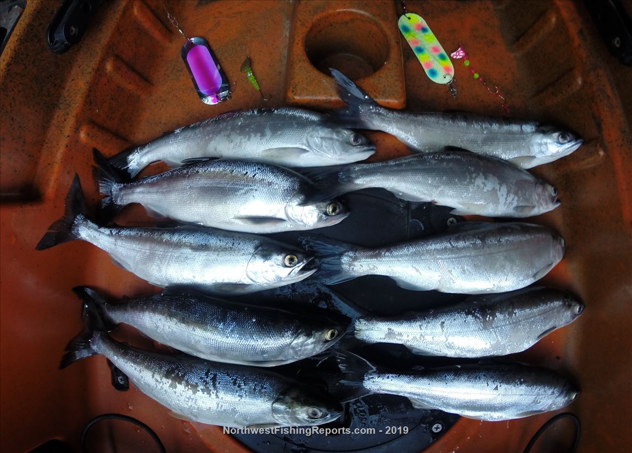 Samish Lake Report, Whatcom County, WA - NWFR