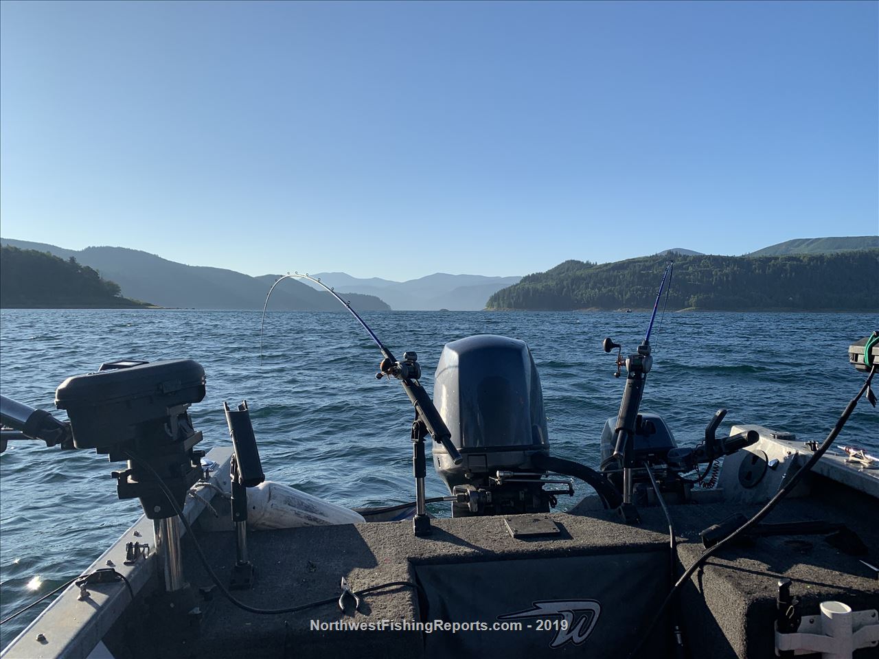 Riffe Lake Report, Lewis County, WA - NWFR