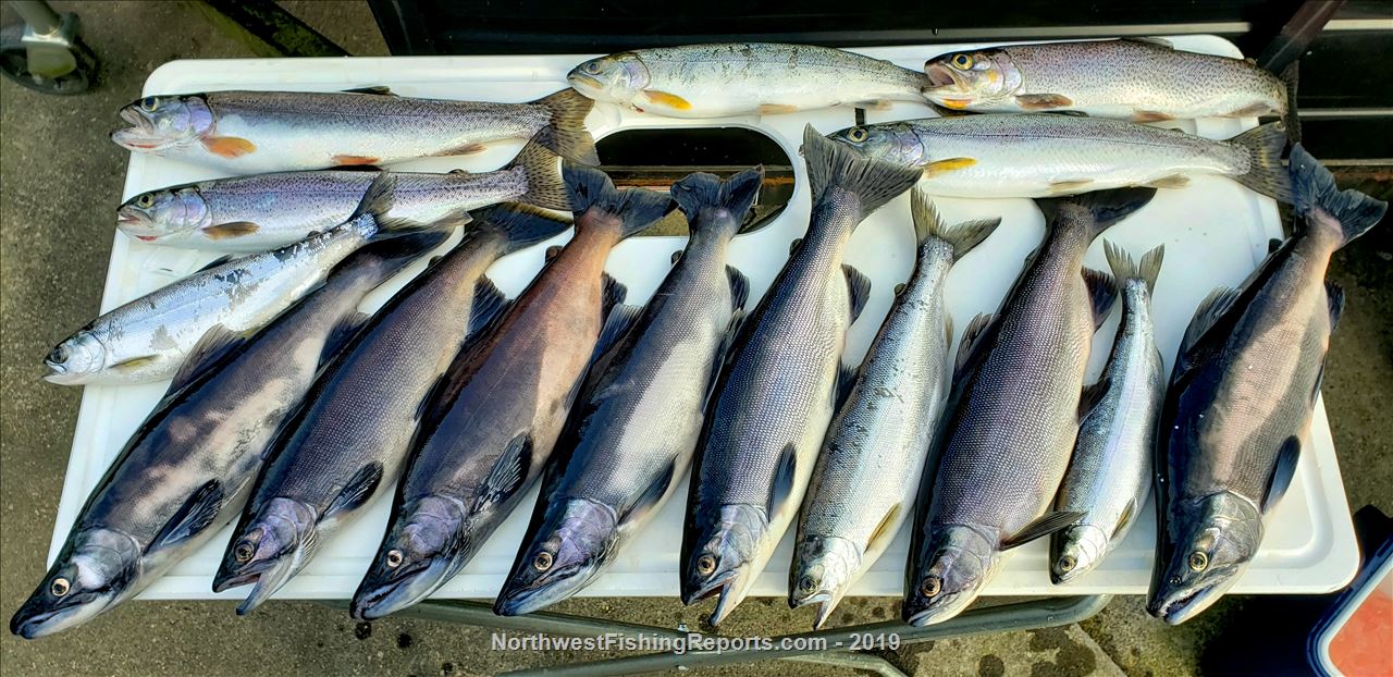 Cavanaugh Lake Report, Skagit County, WA - NWFR
