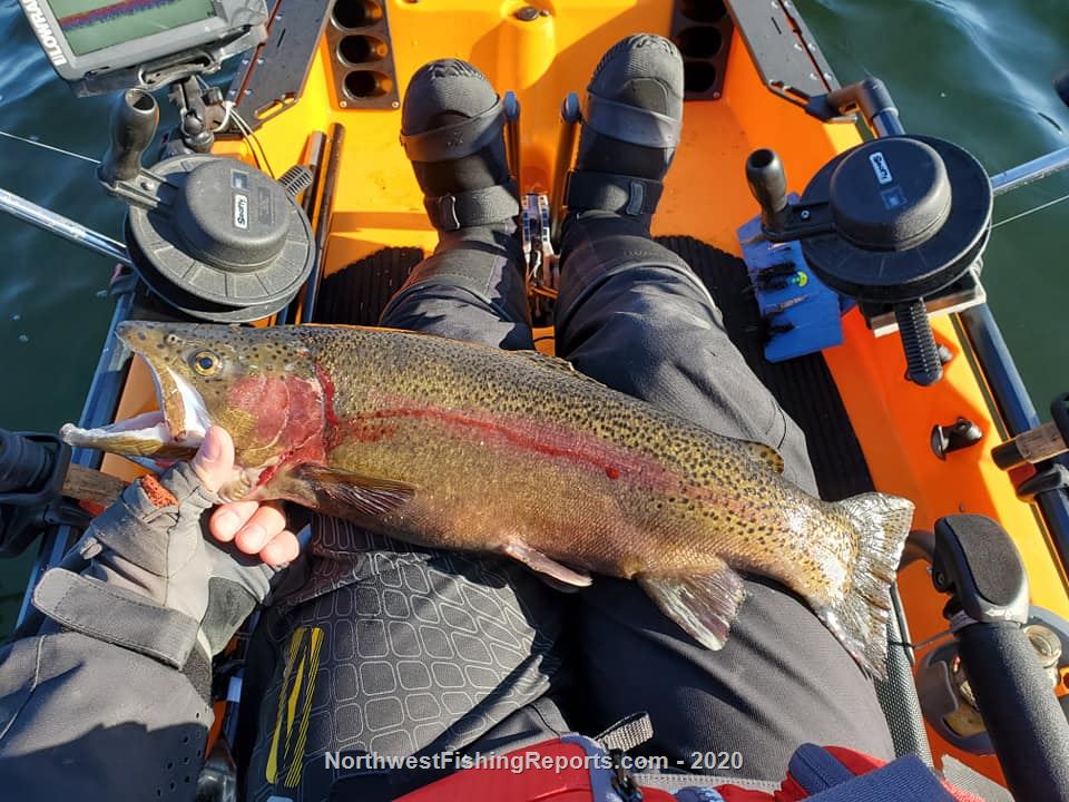 Goodwin Lake Report, Snohomish County, WA - NWFR