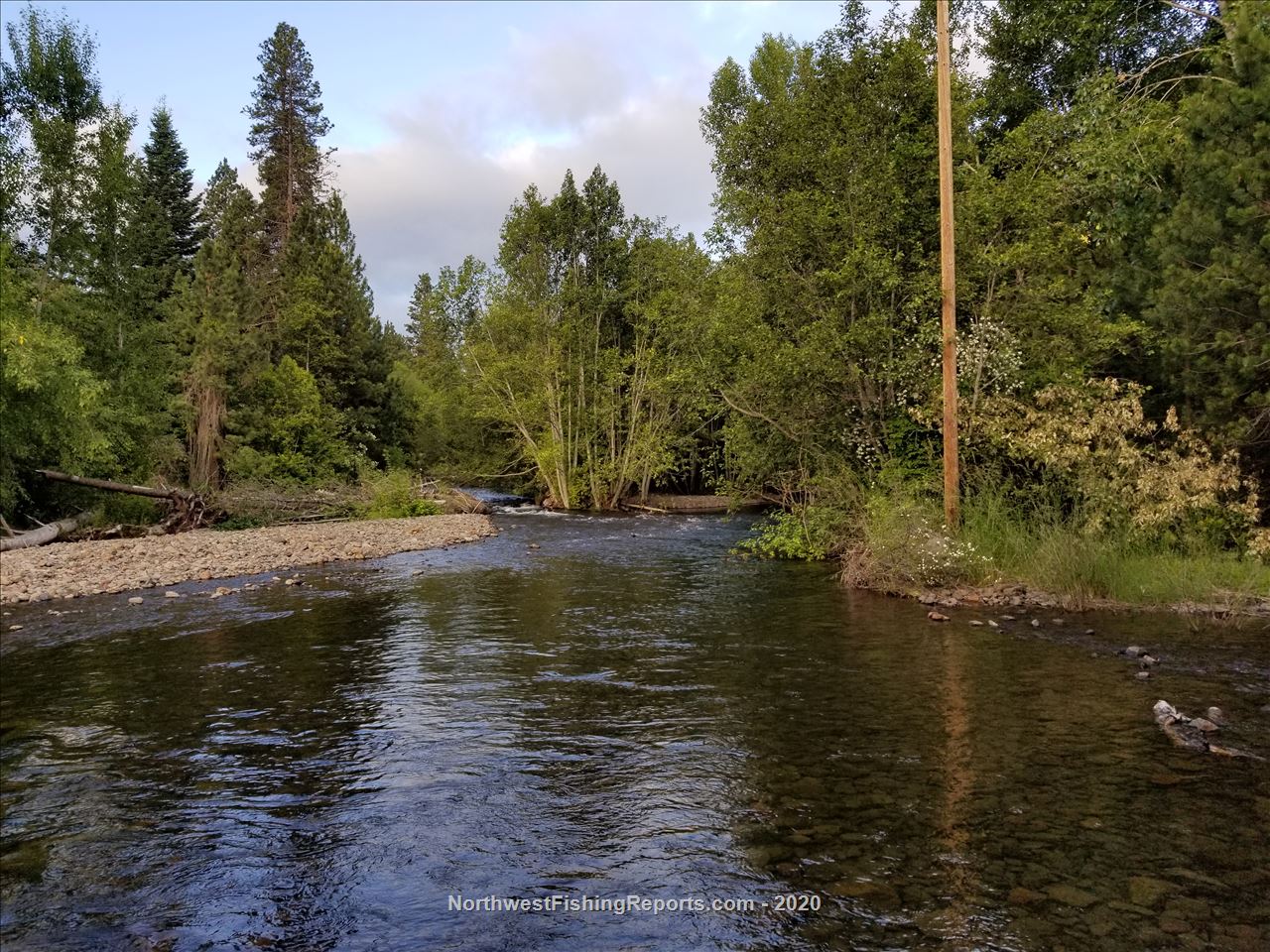 Tucannon River Report, Columbia County, WA - NWFR
