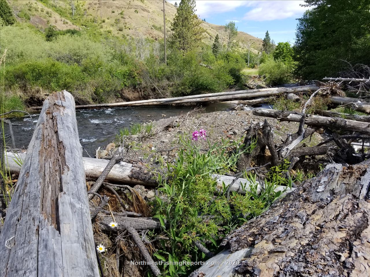 Tucannon River Report, Columbia County, WA - NWFR