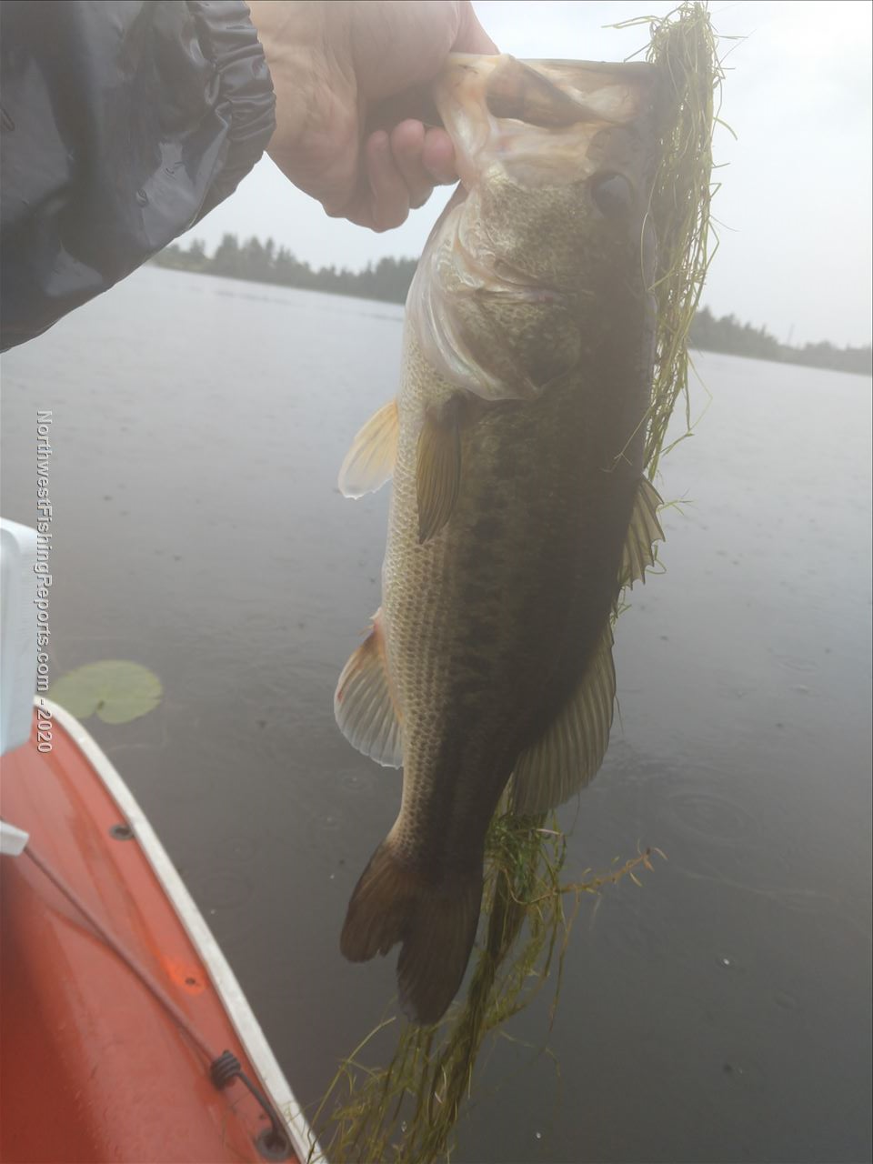 Terrell Lake Report, Whatcom County, WA - NWFR