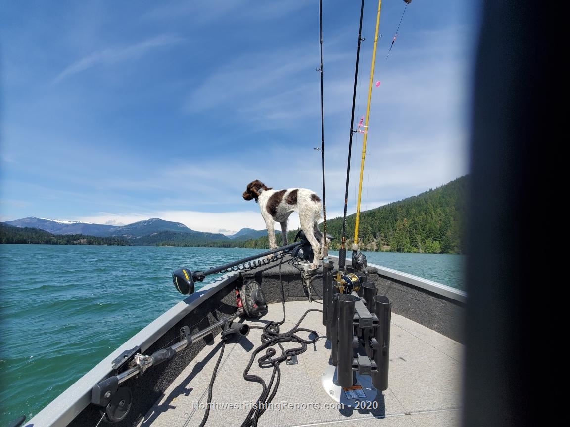 Rimrock Lake Report, Yakima County, WA - NWFR