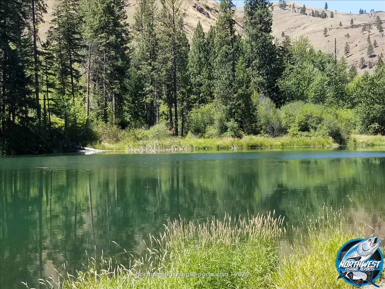 Tucannon Lakes Lake Report, Columbia County, WA - NWFR