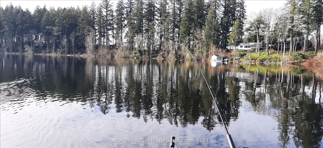 Offut Lake Report, Thurston County, WA - NWFR