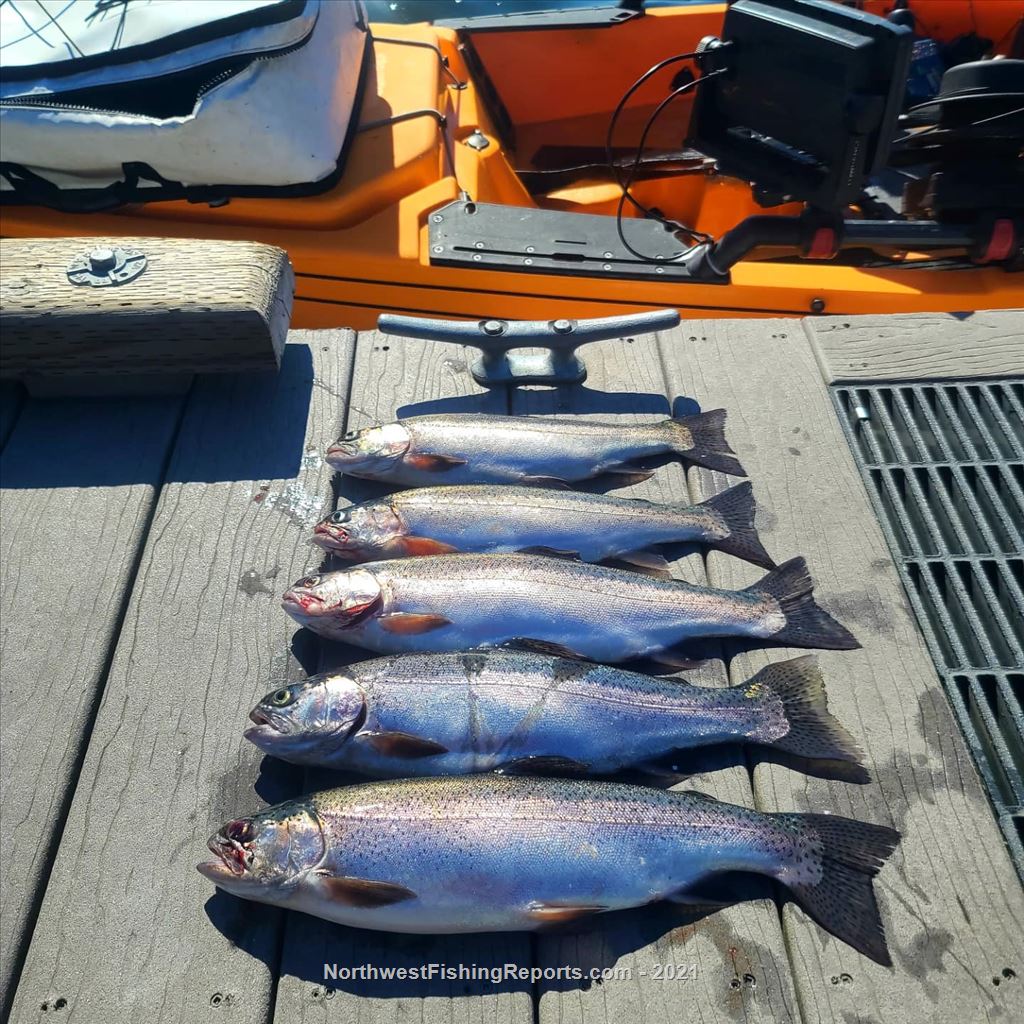 Goodwin Lake Report, Snohomish County, WA - NWFR