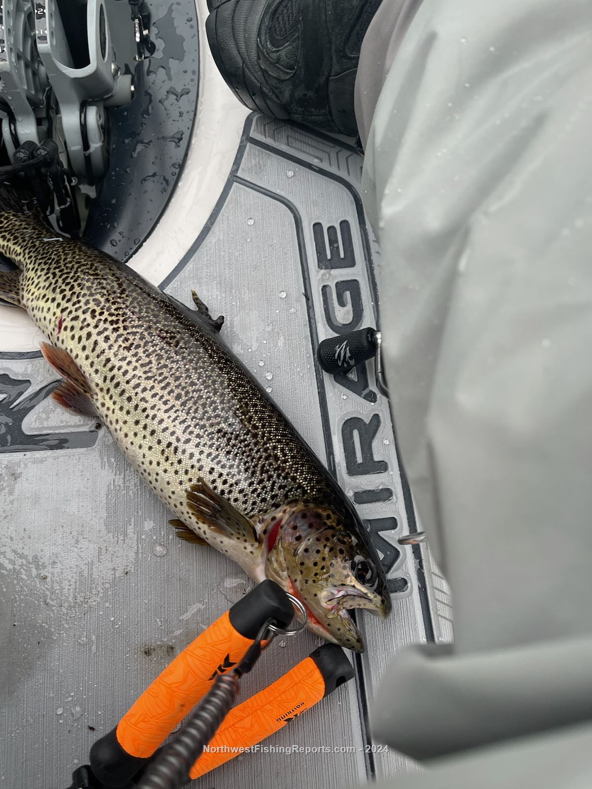 Munn Lake Report, Thurston County, WA - NWFR