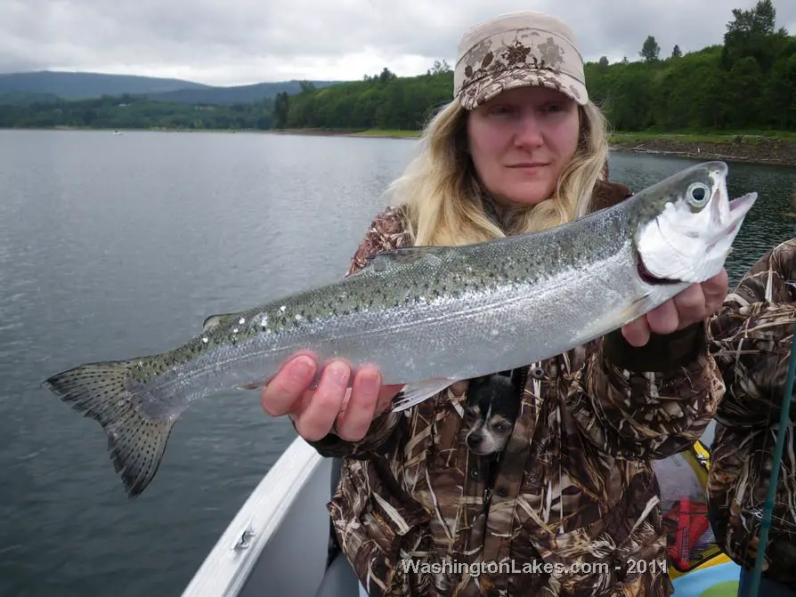 Riffe Lake Photo Gallery - NWFR