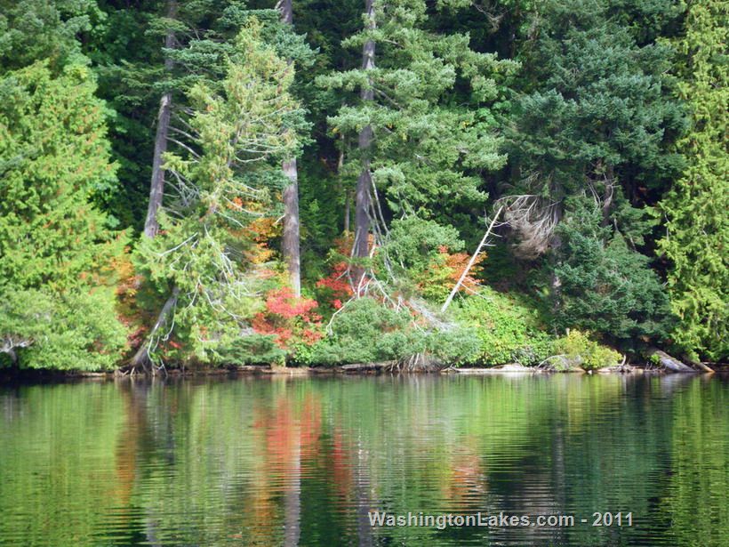 Samish Lake Report, Whatcom County, WA - NWFR