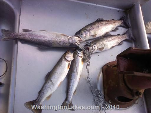 Offut Lake Report, Thurston County, WA - NWFR