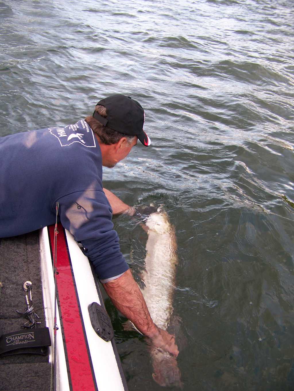 Mayfield Lake Report, Lewis County, WA - NWFR