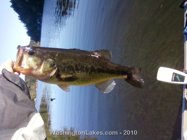 Ohop Lake Photo Gallery - NWFR
