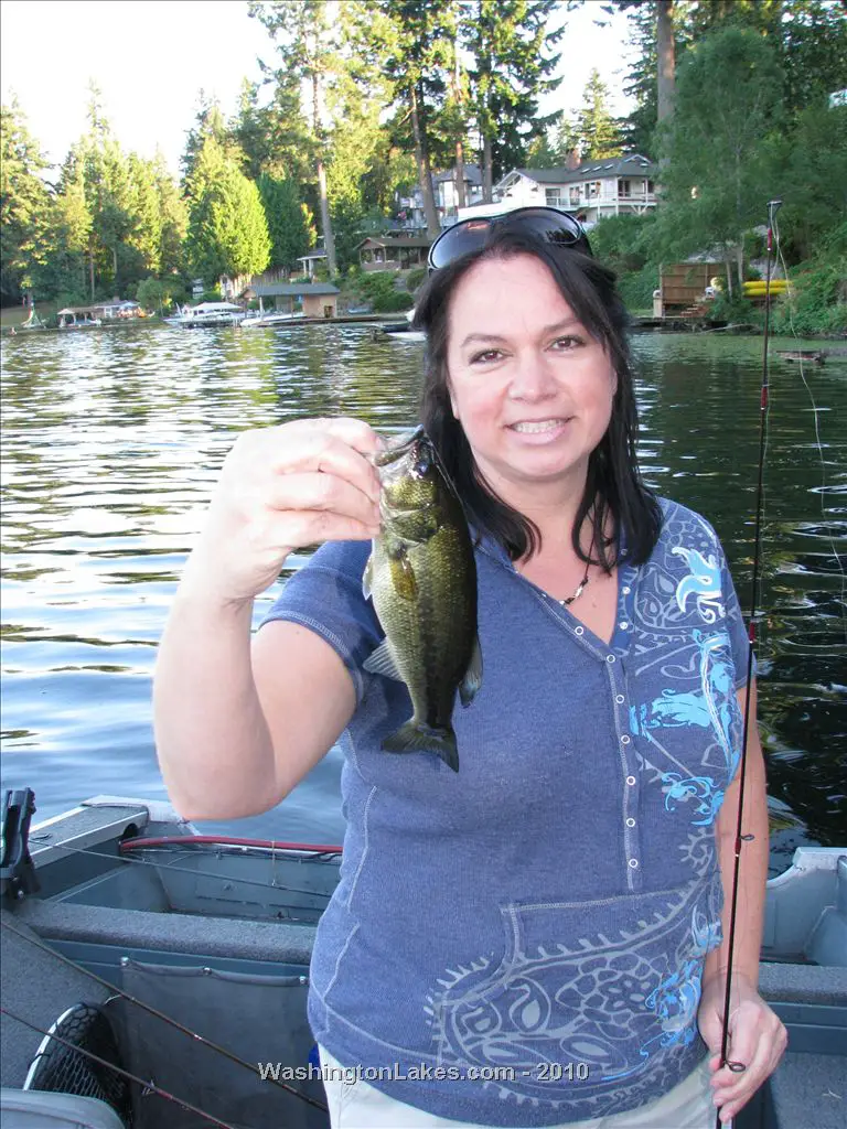 Sawyer Lake Photo Gallery - NWFR